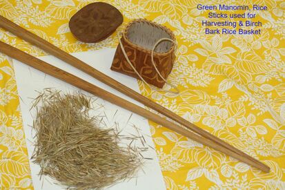 Understanding The Role of Manòmin in Indigenous Food Sovereignty ...